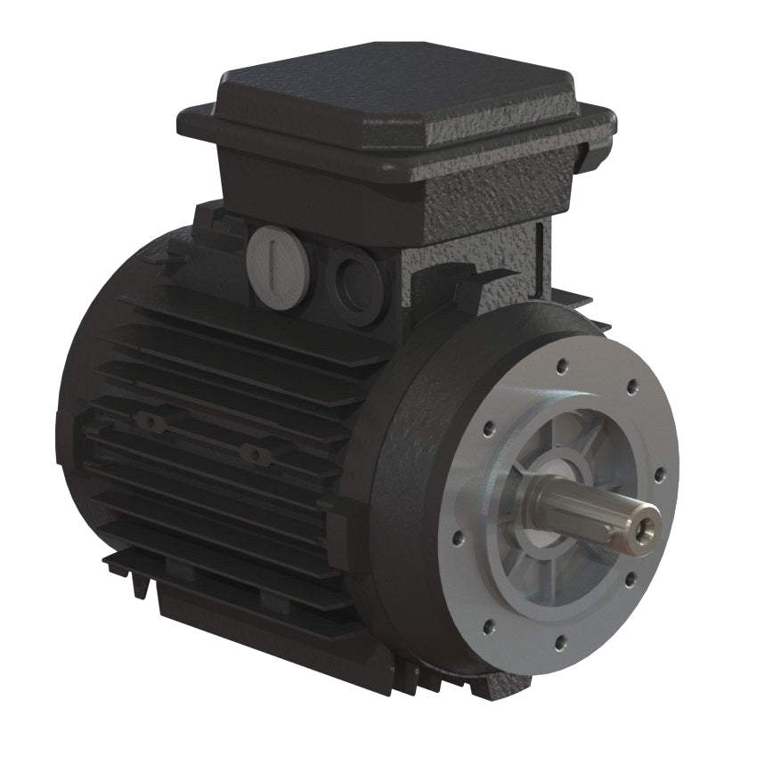 Motor Kw 0.75 Gr80 B14 4p – Ceccato spa INwash